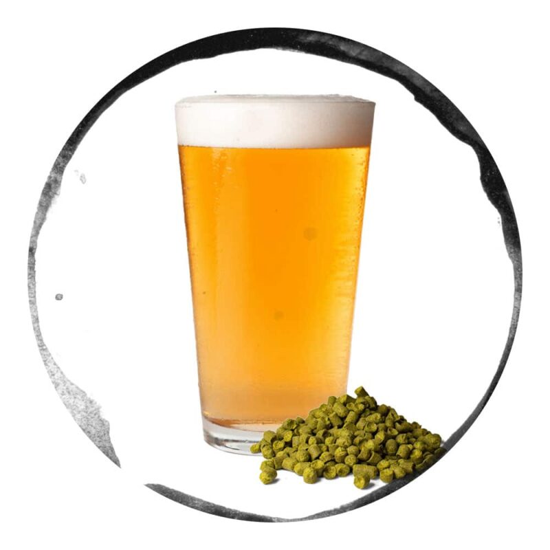 Kit de bere All Grain Single Hop Pale Ale Amarillo - BrewsBrothers.ro
